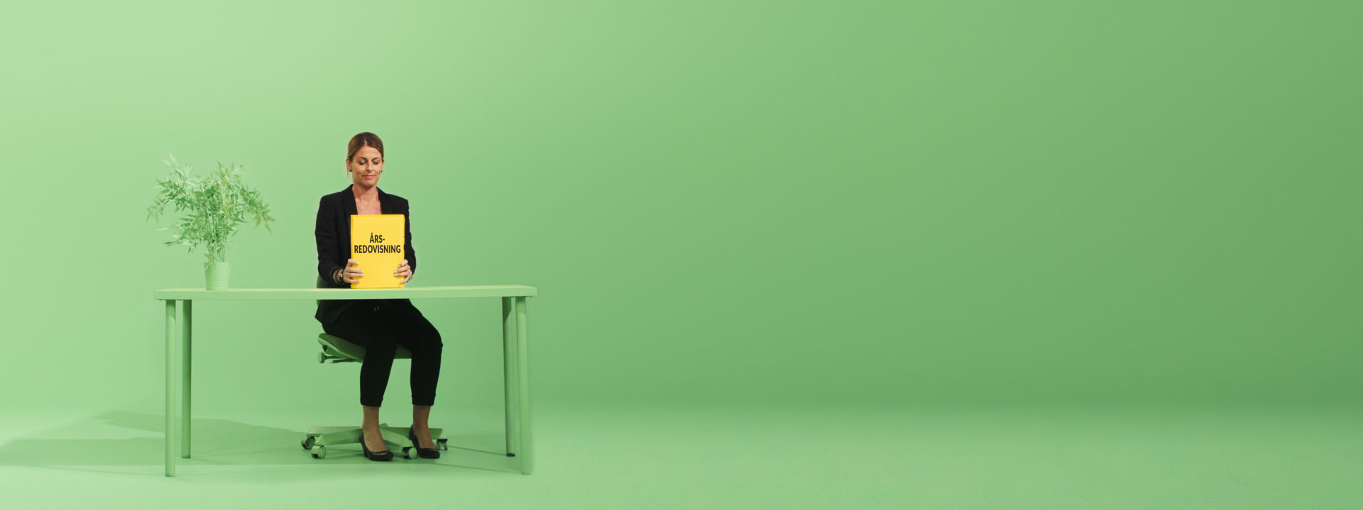 Ekonomisystem för alla verksamheter | Hogia